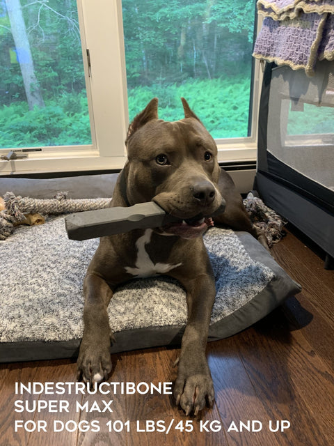 Bulletproof Pet Products|The best chew toys, tugs, dock bumpers